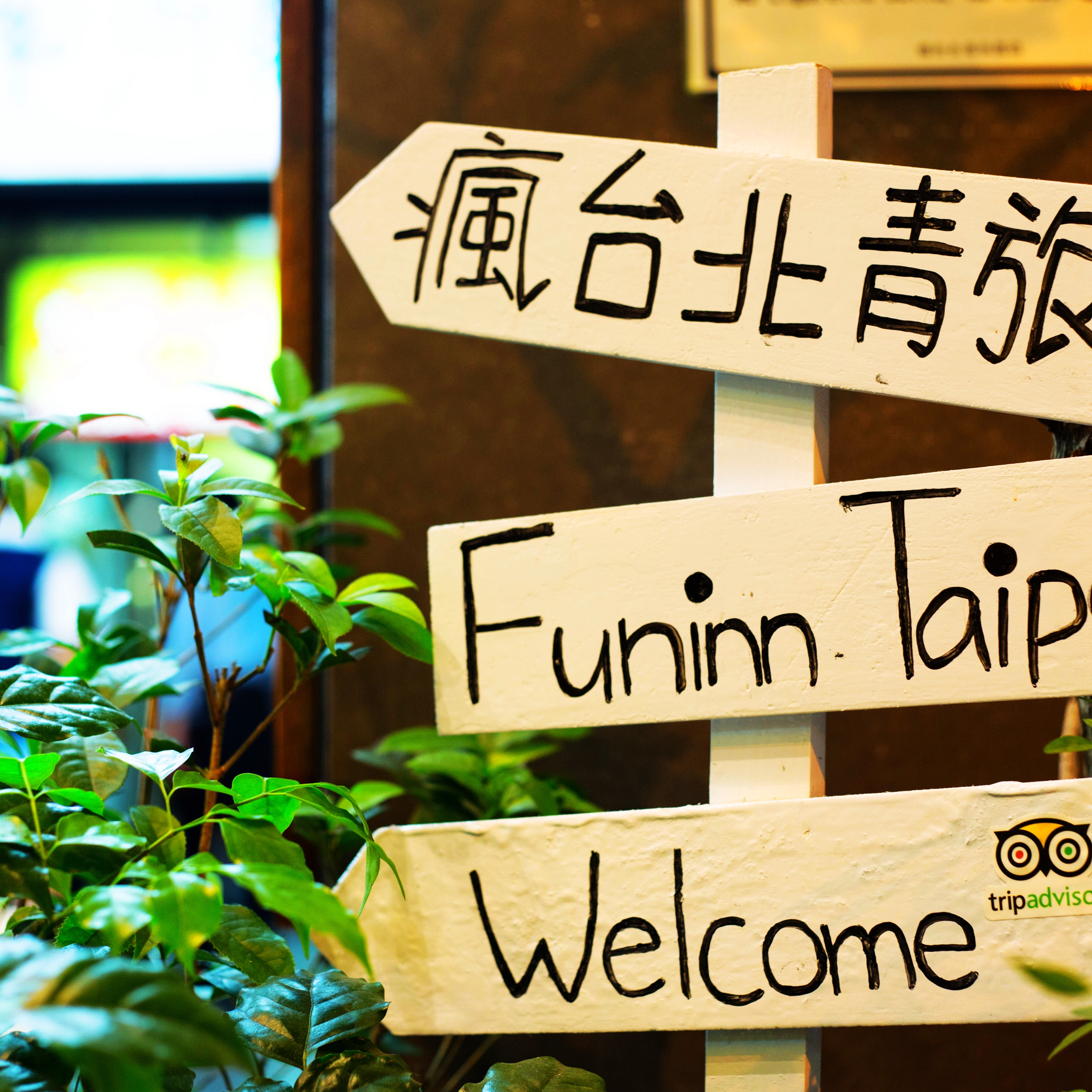 ファン イン 台北(瘋台北青旅)(FUN INN TAIPEI) 宿泊予約【楽天トラベル】