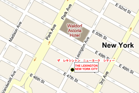 ザ・レキシントン・ニューヨークシティ、オートグラフ コレクション(THE LEXINGTON NEW YORK CITY, AUTOGRAPH ...